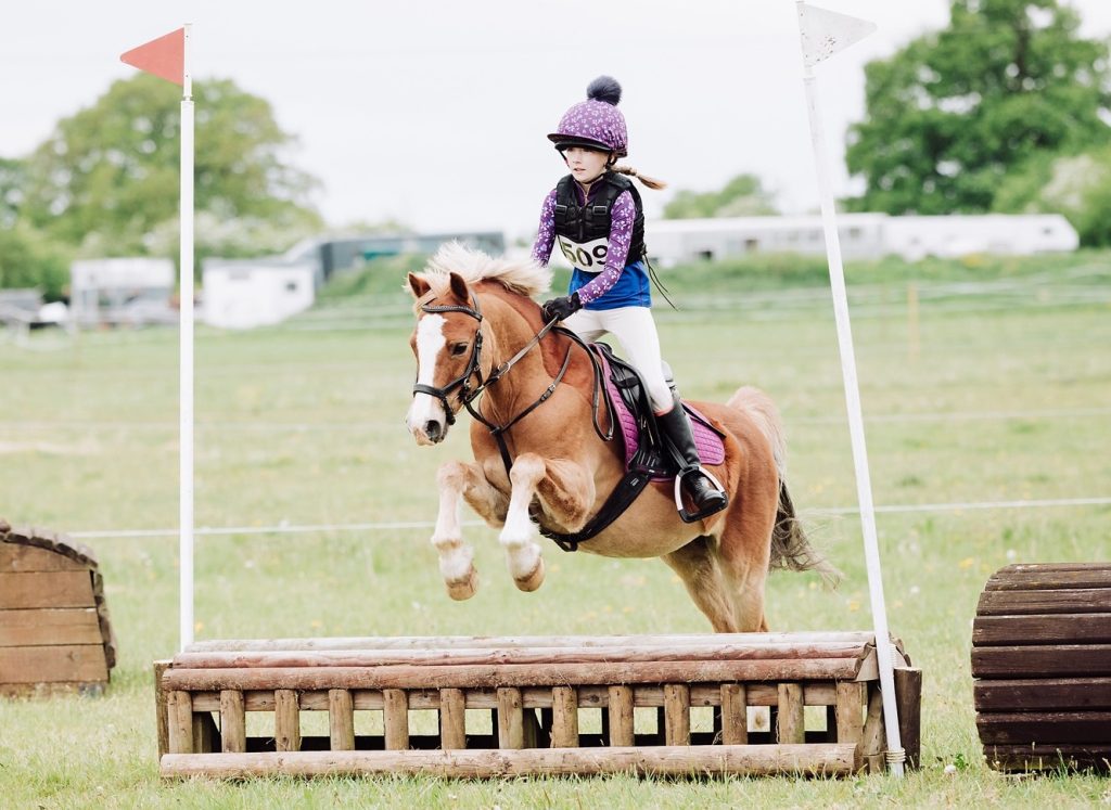 Beginner Hunter Trials Jun 29 2025 – Ashwood Equestrian